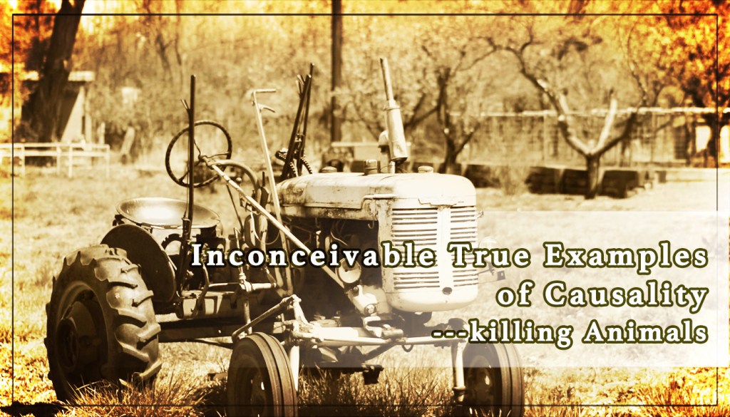 Inconceivable True Examples of Causality —killing Animals – Dharma From ...